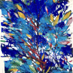 Cespuglio di rovi e more — Alessandro Andreuccetti Fine Art